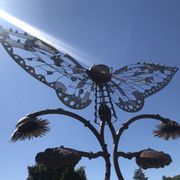 WINGFIELD PARK - 292 Photos & 39 Reviews - Parks - 300 W 1st St, Reno ...