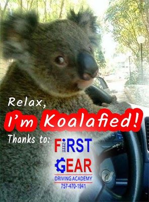 FIRST GEAR DRIVING ACADEMY - Updated October 2025 - Norfolk, Virginia ...