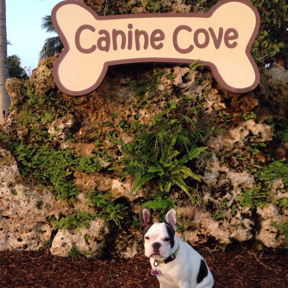 CANINE COVE - Updated October 2025 - 23 Photos - 1361 Andalusia Ter ...