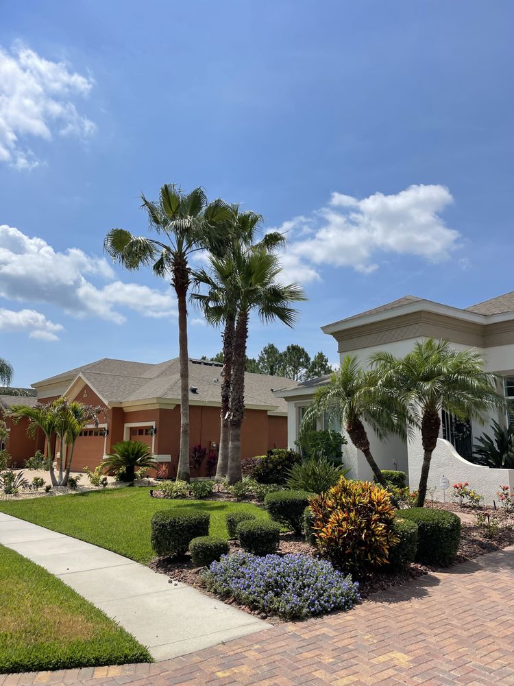 MARTINEZ TREE SERVICE & LANDSCAPE DESIGN - Updated August 2024 ...