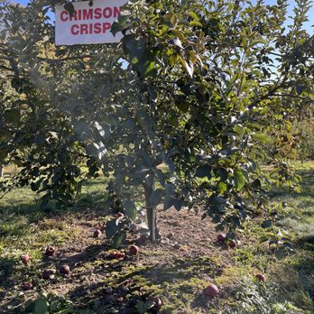 DEMAREST FARM - Updated July 2025 - 823 Photos & 355 Reviews - 244 ...