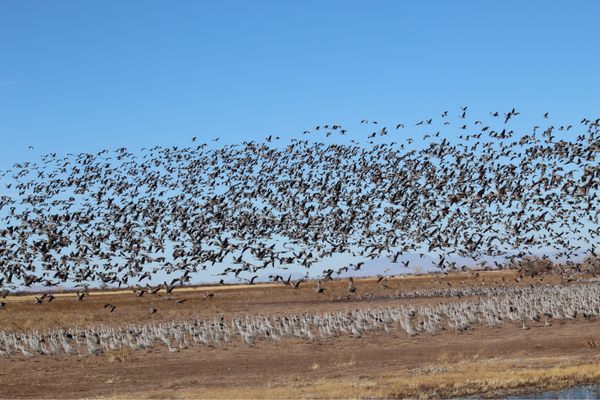 WHITEWATER DRAW - Updated January 2025 - 26 Photos & 12 Reviews - 4423 ...