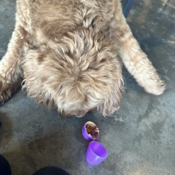 GLOBAL BREW TAP HOUSE - Updated December 2025 - 72 Photos & 74 Reviews ...