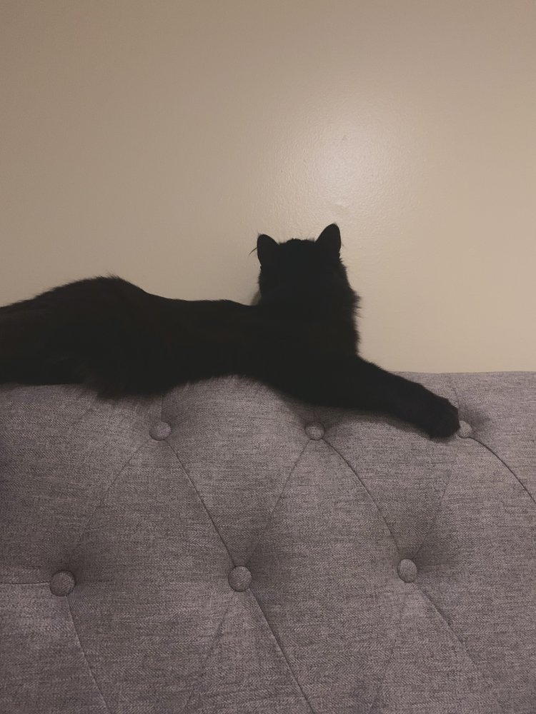 GAVIGAN’S FURNITURE - FOREST HILL - Updated September 2024 - 10 Reviews ...