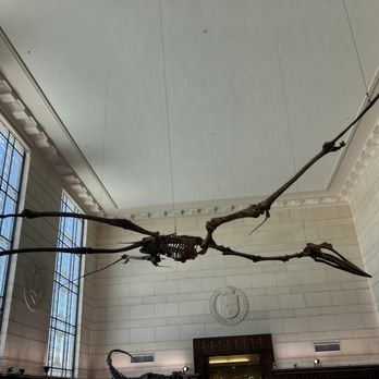 TEXAS SCIENCE & NATURAL HISTORY MUSEUM - Updated October 2025 - 174 ...