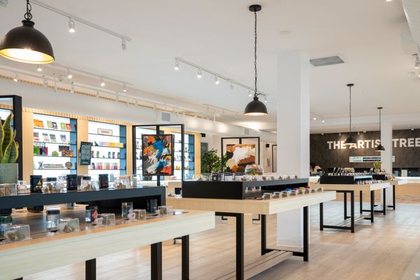 THE ARTIST TREE - Updated January 2025 - 13 Photos & 45 Reviews - 24902 ...