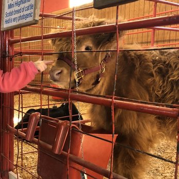 FAULKNER’S RANCH - Updated October 2024 - 110 Photos & 33 Reviews ...