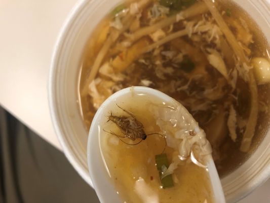 BODARD EXPRESS - 67 Photos & 57 Reviews - 711 Louisiana St, Houston ...