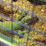 FLOATING SEA AQUATICS - 187 Photos & 27 Reviews - 8661 Old Kings Rd S ...