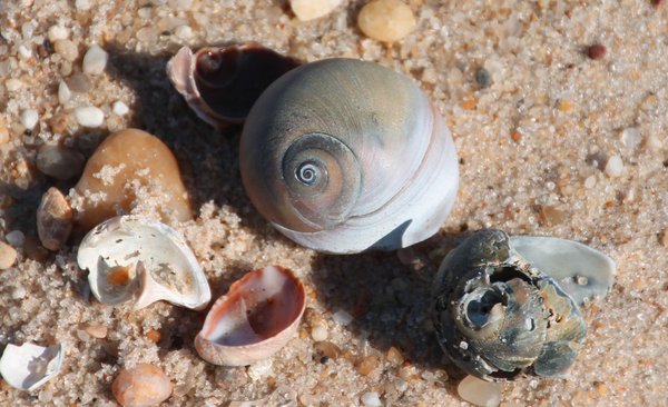 CRYDER BEACH - Updated December 2025 - 17 Cryder Ln, Southampton, New ...