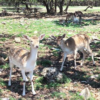 NATURAL BRIDGE WILDLIFE RANCH San Antonio, TX - Updated November 2024 ...