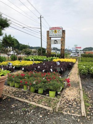 GEORGIA WHOLESALE NURSERY - Updated June 2024 - 15 Photos - 5600 ...