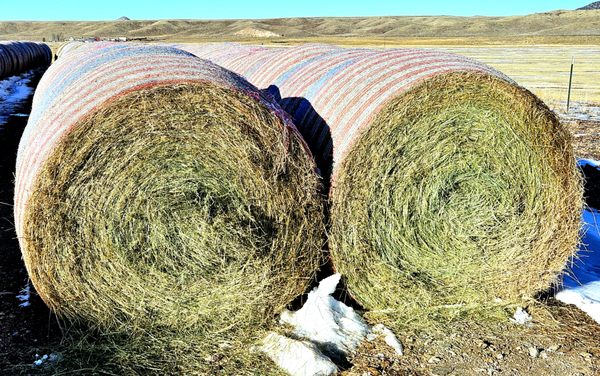 LAZY V CATTLE COMPANY - Updated October 2025 - 8 Bassick Pl, Westcliffe ...