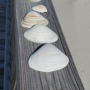 STRATHMERE BEACH - Updated August 2024 - 62 Photos & 19 Reviews ...