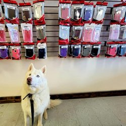 COMPUTERS R US - 77 Photos & 45 Reviews - 3600 Cherokee St NW, Kennesaw ...