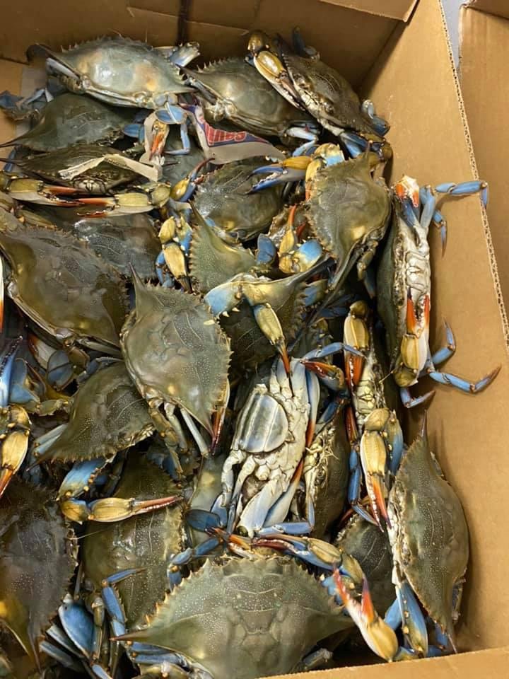 CMP’S ISLAND FISH MARKET - Updated October 2025 - 14 Photos - 920 S ...