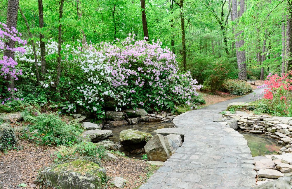 PATHWAYS COUNSELING NWA - Updated September 2025 - Request Consultation ...