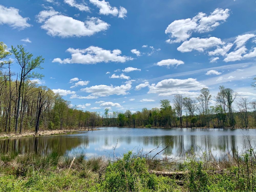 ARRITT PARK - Updated May 2025 - 9718 Wallers Rd, Partlow, Virginia ...