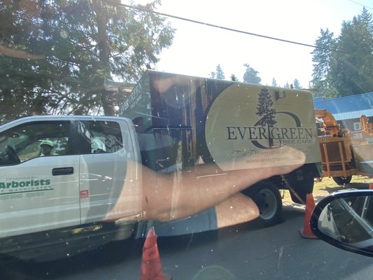 EVER-GREEN TREE CARE - Updated September 2024 - 36 Photos & 121 Reviews ...