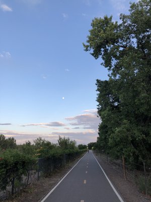 PASEO DEL BOSQUE TRAIL - Updated June 2024 - 111 Photos & 26 Reviews ...