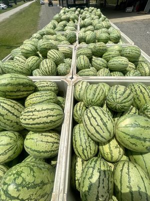 CHARLIE’S U-PIK - 32 Photos - 257 Charlies Lane, Lucedale, Mississippi ...