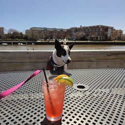 CHARTROOM RESTAURANT - Updated July 2025 - 44 Photos & 36 Reviews - 209 ...