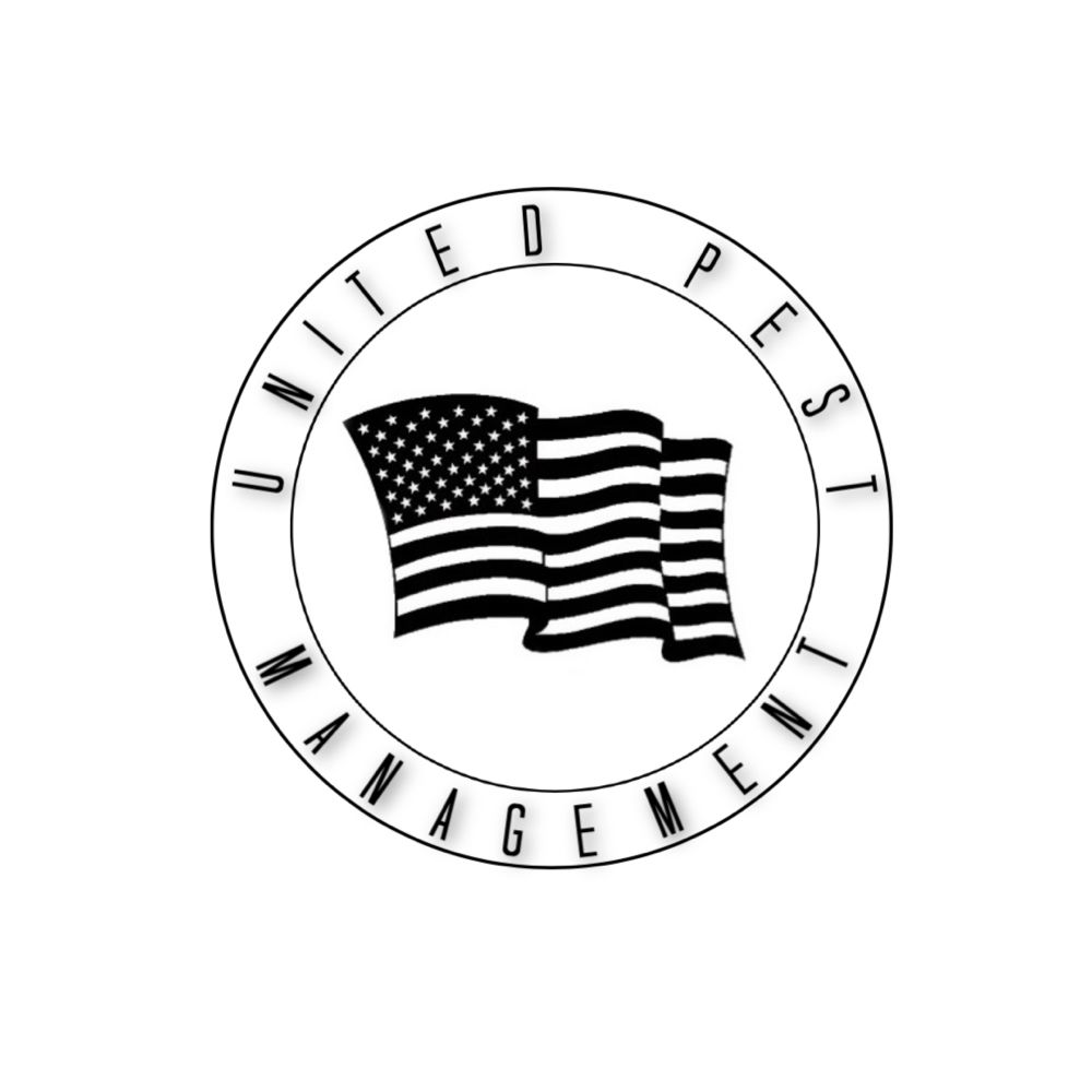 UNITED PEST MANAGEMENT - Updated January 2025 - 17 Photos - Lakewood ...