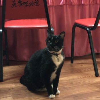 KWAN YIN TEMPLE OF OREGON - Updated January 2026 - 16525 NE Glisan St ...