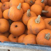 HINDINGER FARM - 39 Photos & 17 Reviews - Fruits & Veggies - 810 Dunbar ...