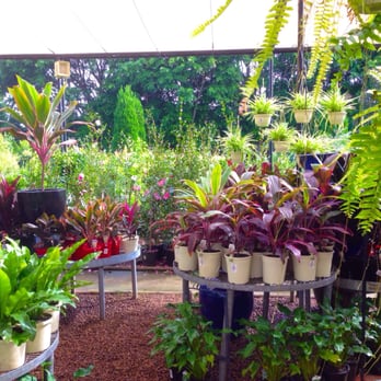 Flower Power Enfield Trading Hours | Best Flower Site