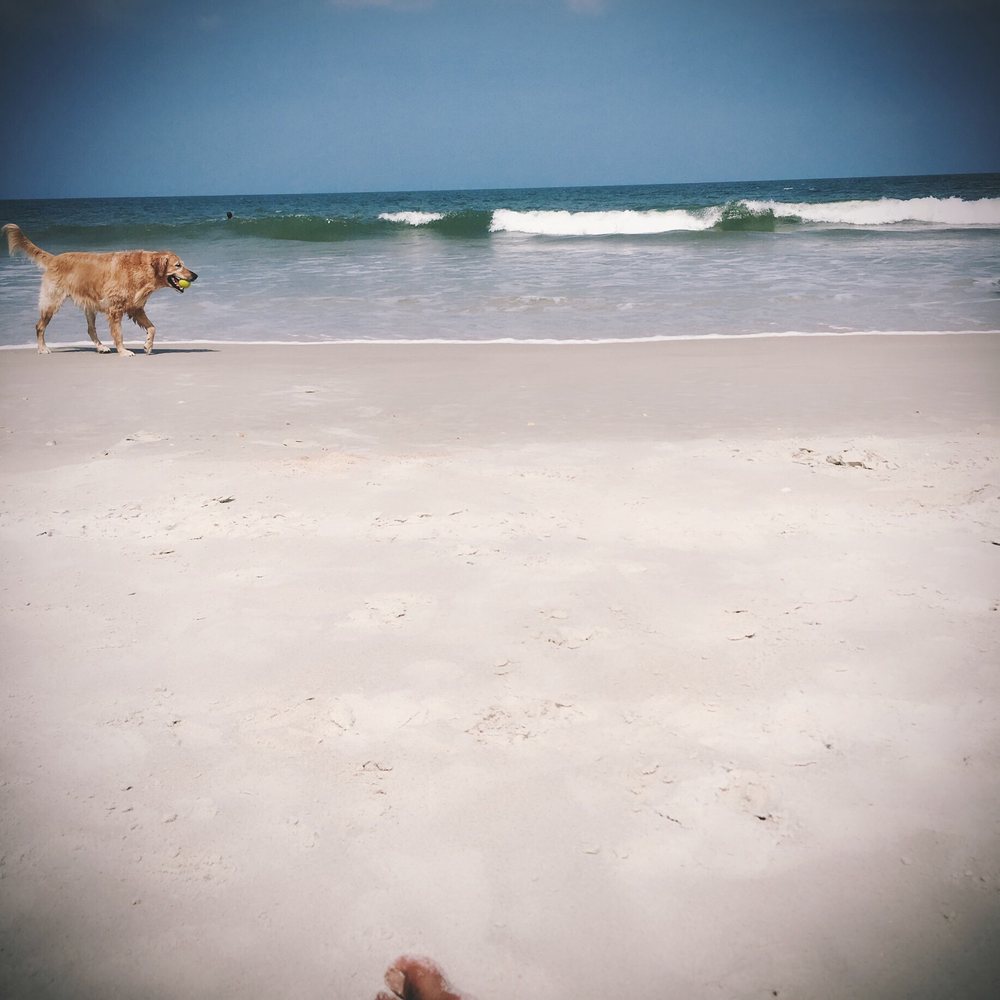 OLD SALT PARK - 15 Photos - 16TH Rd, Palm Coast, Florida - Beaches - Yelp