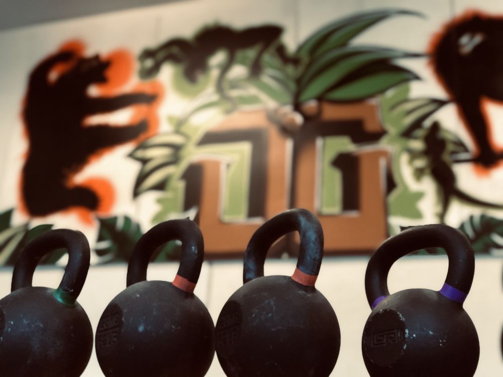 JUNGLE GYM DGO - 16 Photos - 151 E 15th St, Durango, CO - Yelp