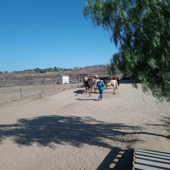 GREEN ACRES RANCH - Updated December 2025 - 155 Photos & 112 Reviews ...