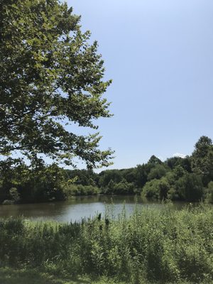 WILSON FARM PARK - 23 Photos - 801-899 Chesterbrook Blvd, Chesterbrook ...