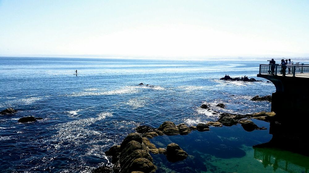 EDWARD F. RICKETTS STATE MARINE CONSERVATION AREA - Updated June 2025 ...