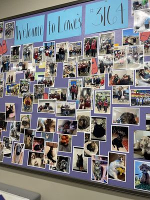 LOWE’S HOME IMPROVEMENT - Updated December 2025 - 91 Photos & 223 ...