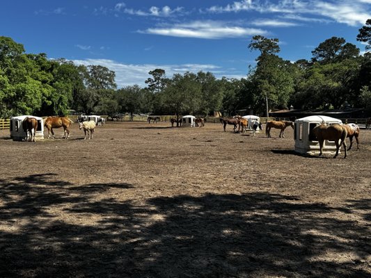 LAWTON STABLES - Updated May 2026 - 155 Photos & 92 Reviews - 190 ...