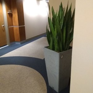 TEN310 - Updated April 2025 - 53 Photos - 10310 Santa Monica Blvd, Los ...