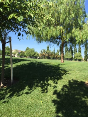 ALTAMONT PARK - Updated October 2025 - Mountain House, California ...