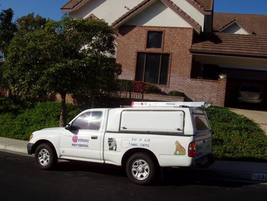 ANTHONY PEST CONTROL - Updated September 2025 - 14 Reviews - 8942 ...