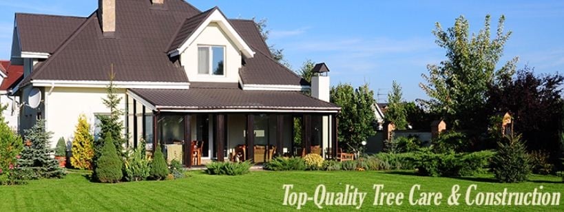 NATIVE AMERICAN TREE EXPERTS INC - Updated November 2025 - 143 Fellows ...