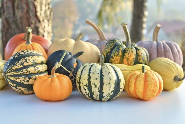 CLEMONS PRODUCE - Updated January 2025 - 568 Photos & 139 Reviews ...