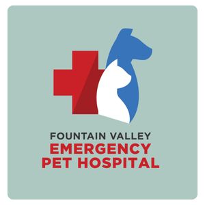 VCA WEST COAST SPECIALTY AND EMERGENCY ANIMAL HOSPITAL - Updated June ...