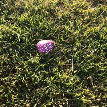 RED BUD PARK - Updated December 2025 - 17 Photos & 18 Reviews - South ...