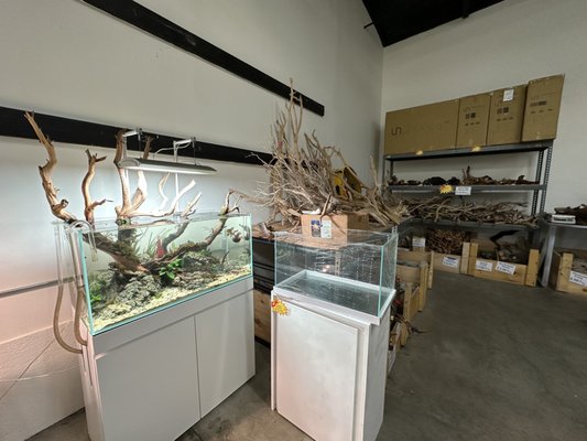 CK FISH WORLD - Updated August 2025 - 440 Photos & 470 Reviews - 541 ...