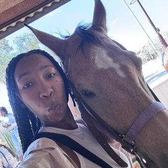 PONDEROSA STABLES - Updated January 2025 - 269 Photos & 212 Reviews ...