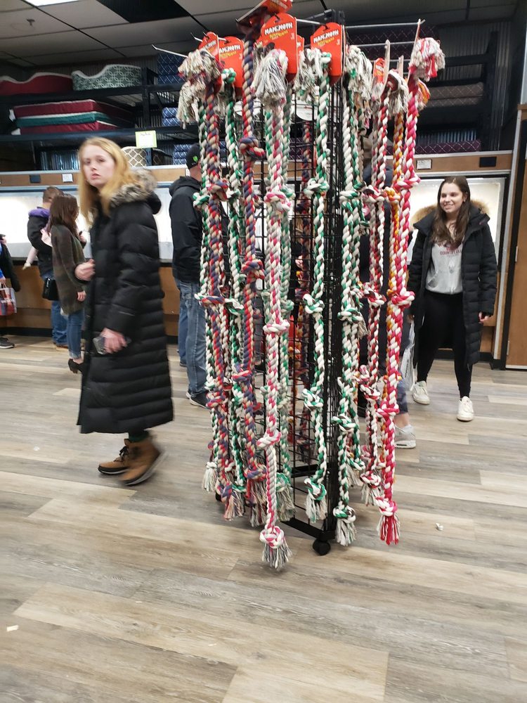 PAT’S PETS - 19 Photos & 11 Reviews - 6501 Grape Rd, Mishawaka, Indiana ...