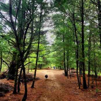 BRUCE PIT - Updated August 2025 - 37 Photos & 16 Reviews - RR 23 ...