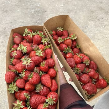 SWANTON BERRY FARM - Updated May 2025 - 1111 Photos & 541 Reviews - 25 ...