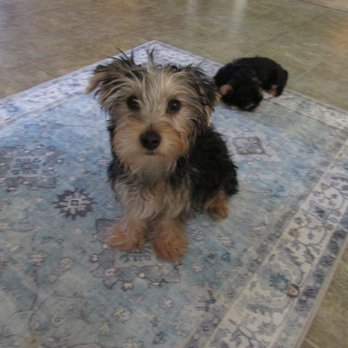 NAVARRE ANIMAL HOSPITAL - Updated December 2025 - 13 Photos & 29 ...